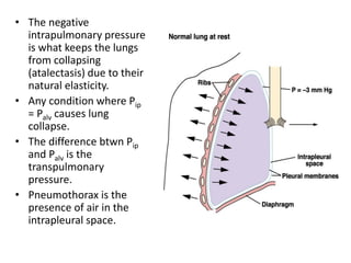 Mechanics_of_Breathing_(Pulmonary Ventilation)_Physiology_16-11-2018.pdf