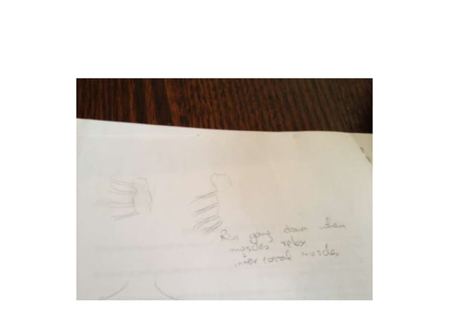 Mechanics of expiration | PPTX