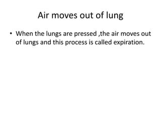 Mechanics of expiration | PPTX