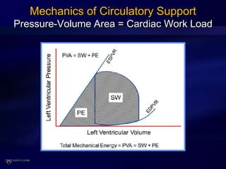 Mechanics of Percutaneous Circulatory Support.ppt