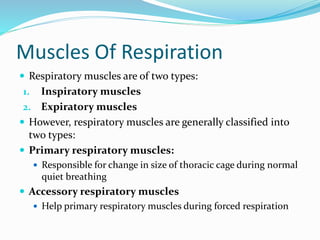 Mechanics of respiration 1 | PPTX