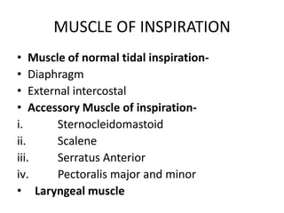 Mechanics of respiration | PPTX