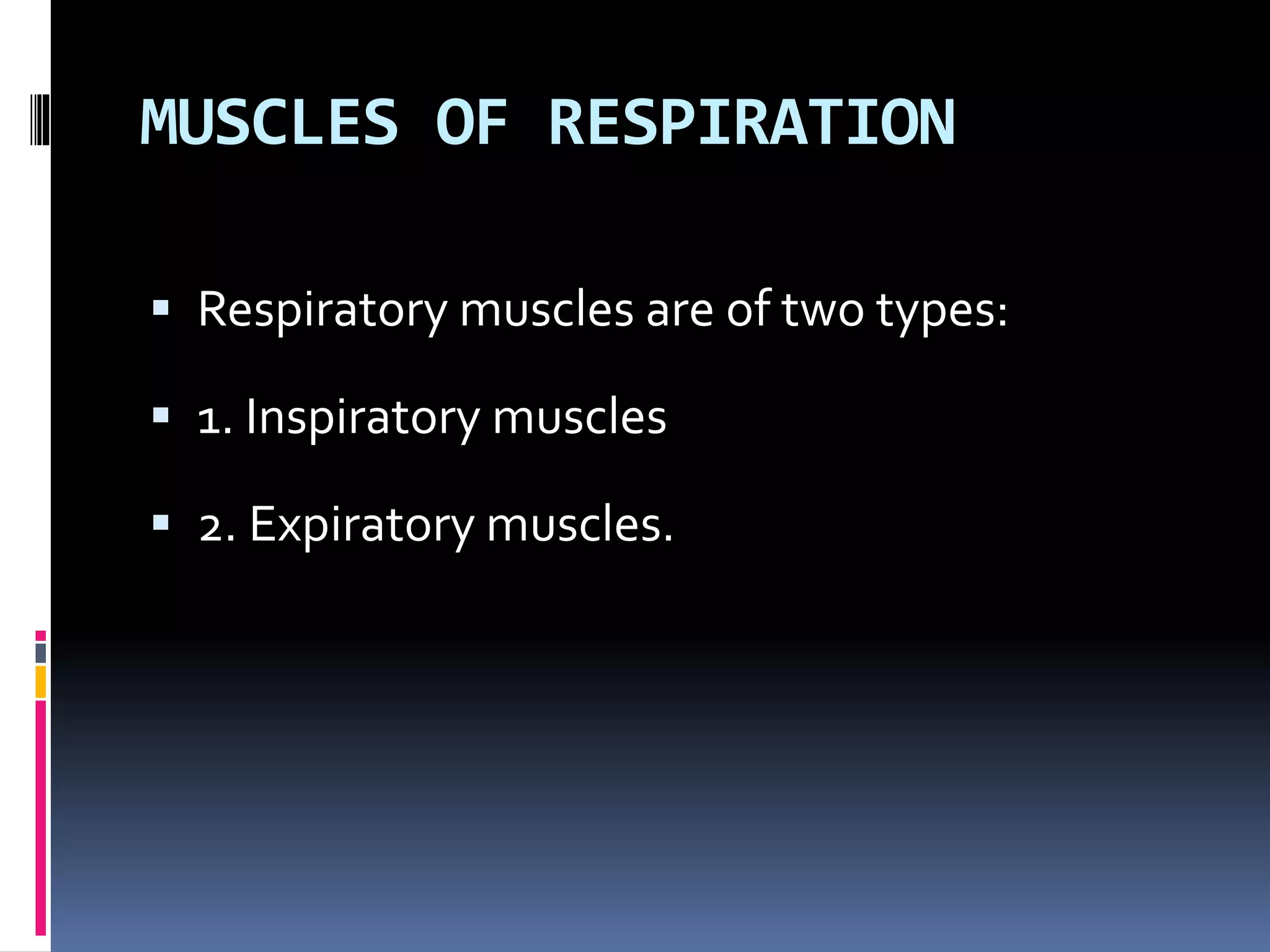 Mechanics of respiration | PPTX