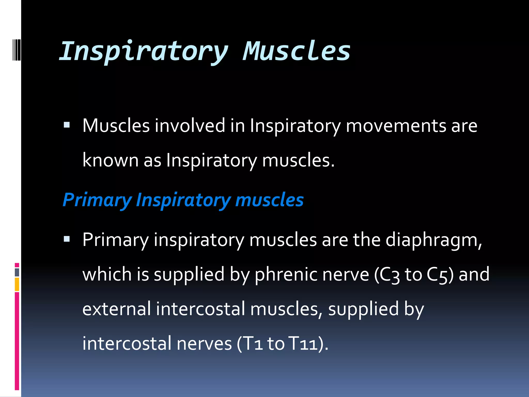 Mechanics of respiration | PPTX