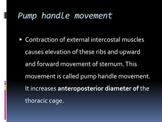 Mechanics of respiration | PPTX