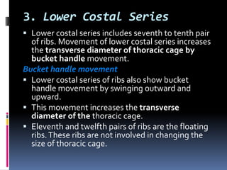 Mechanics of respiration | PPTX