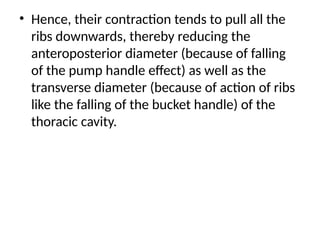 mechanics of respiration inspiration and expiration.pptx