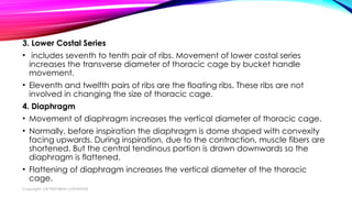 Physiology of Respiration-Mechanics of Respiration | PPTX