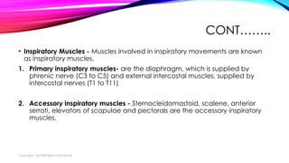 Physiology of Respiration-Mechanics of Respiration | PPT
