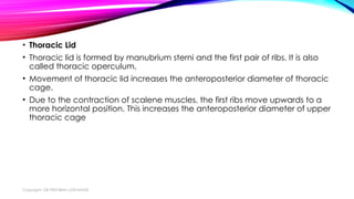 Physiology of Respiration-Mechanics of Respiration | PPTX