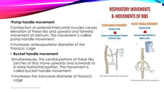 Physiology of Respiration-Mechanics of Respiration | PPTX