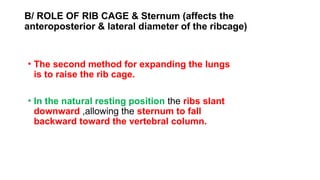 Mechanics of Respiration & Work of breathing 24.9.24.pptx