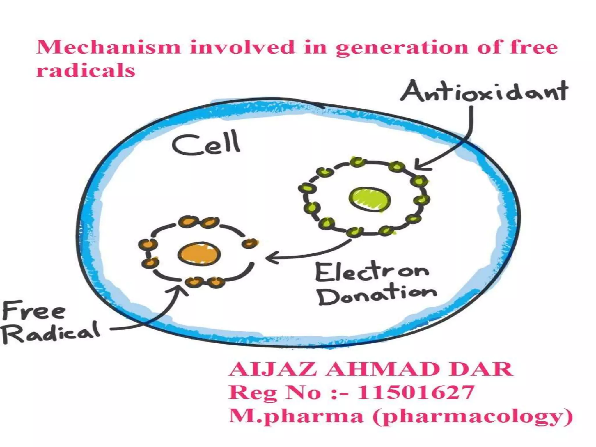 Mechanisim and generation of free radicals | PPTX