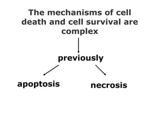 Mechanism cell deaths | PPT