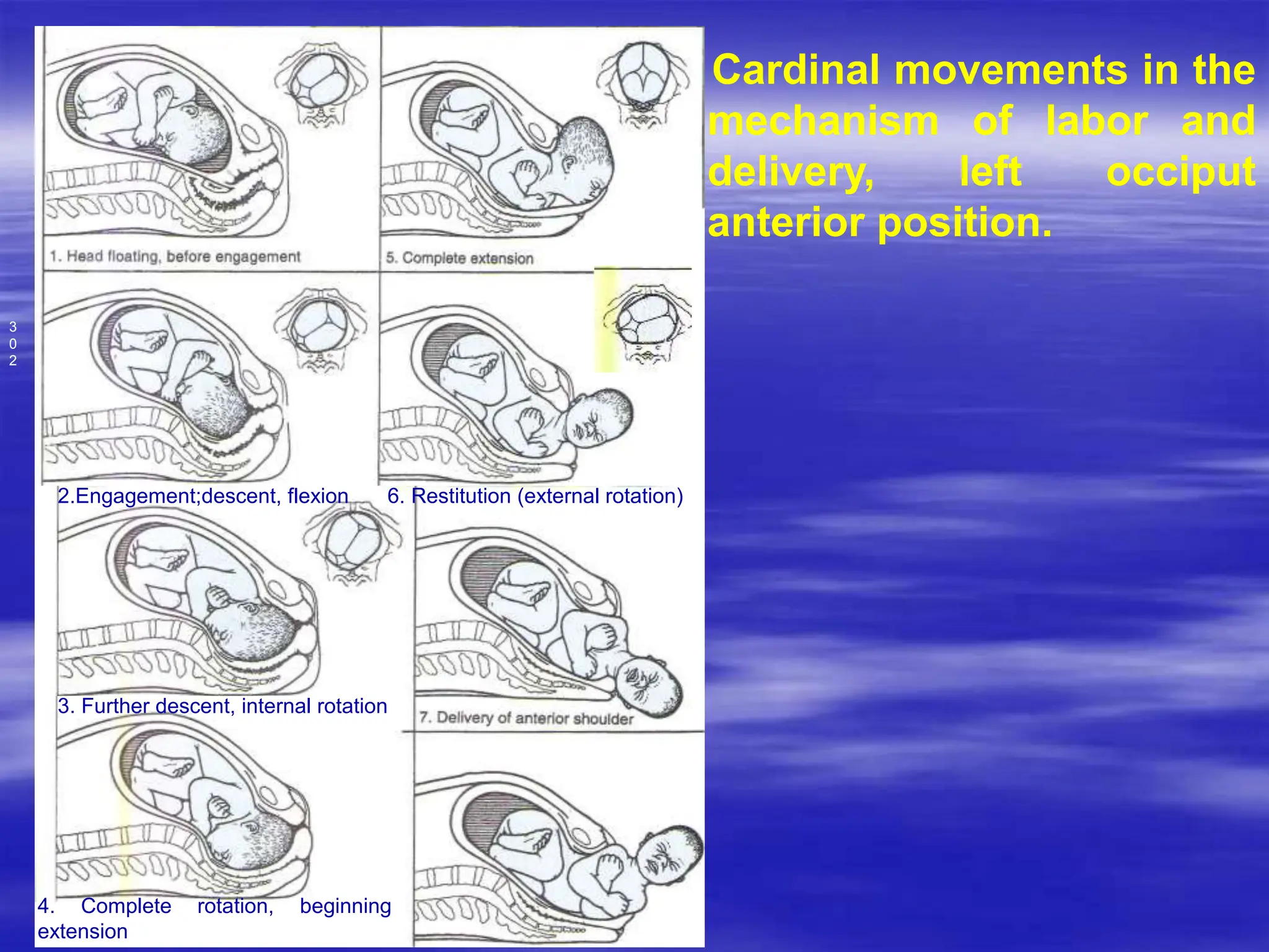 mechanism-of-labour-normal-and-abnormal.ppt