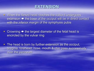 mechanism-of-labour-normal-and-abnormal.ppt