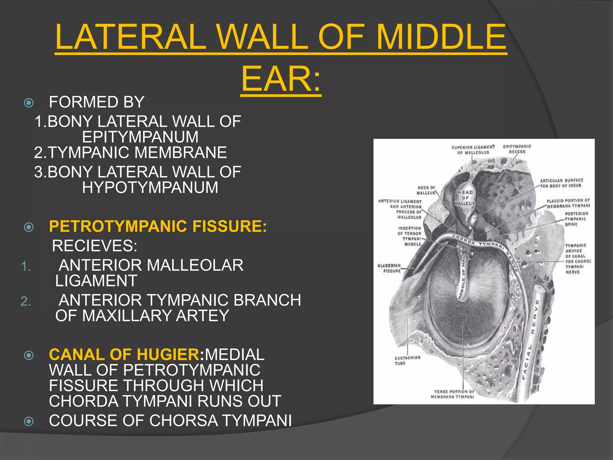 anatomy and physiology of middle ear spaces | PPTX
