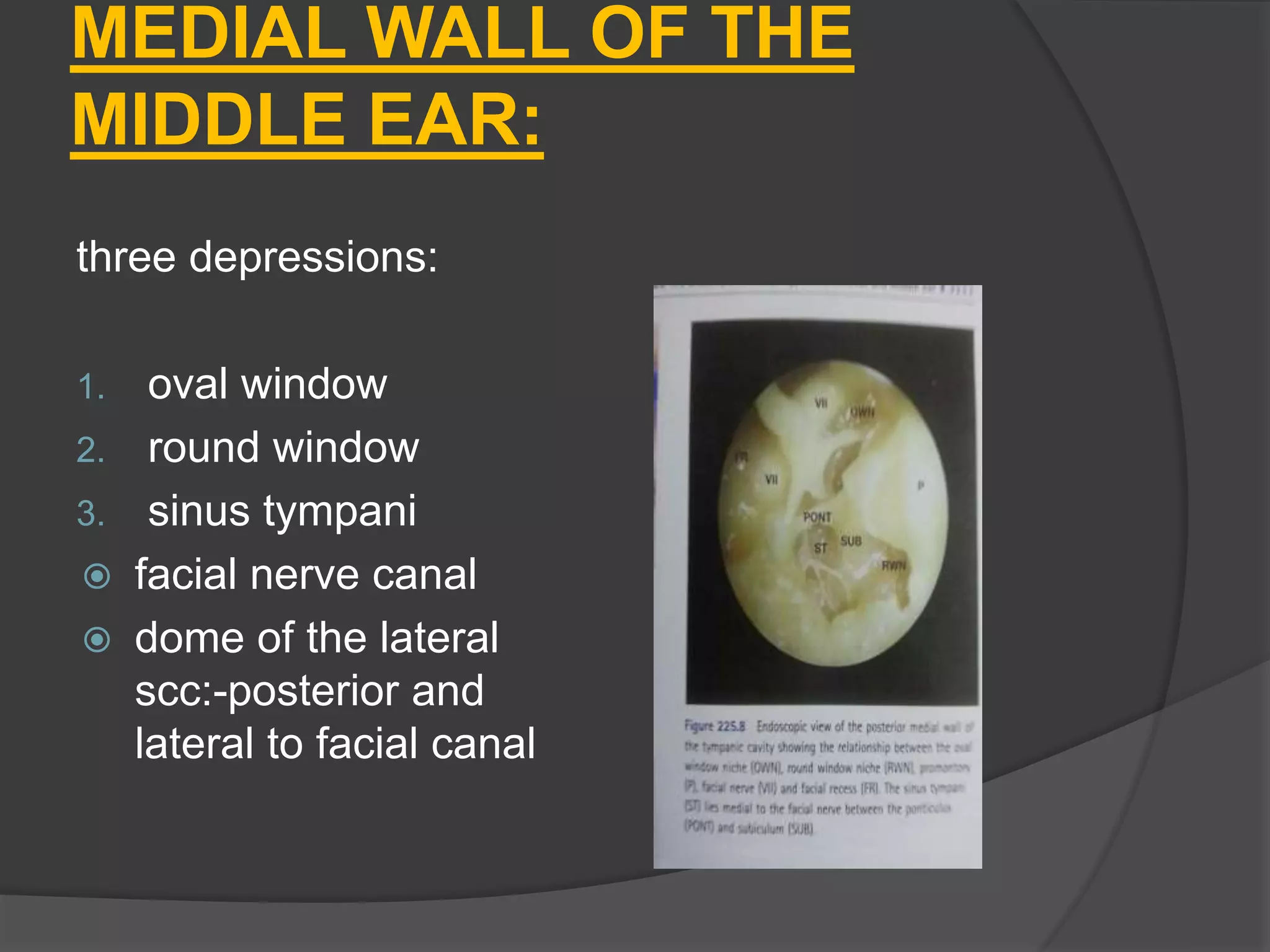anatomy and physiology of middle ear spaces | PPTX
