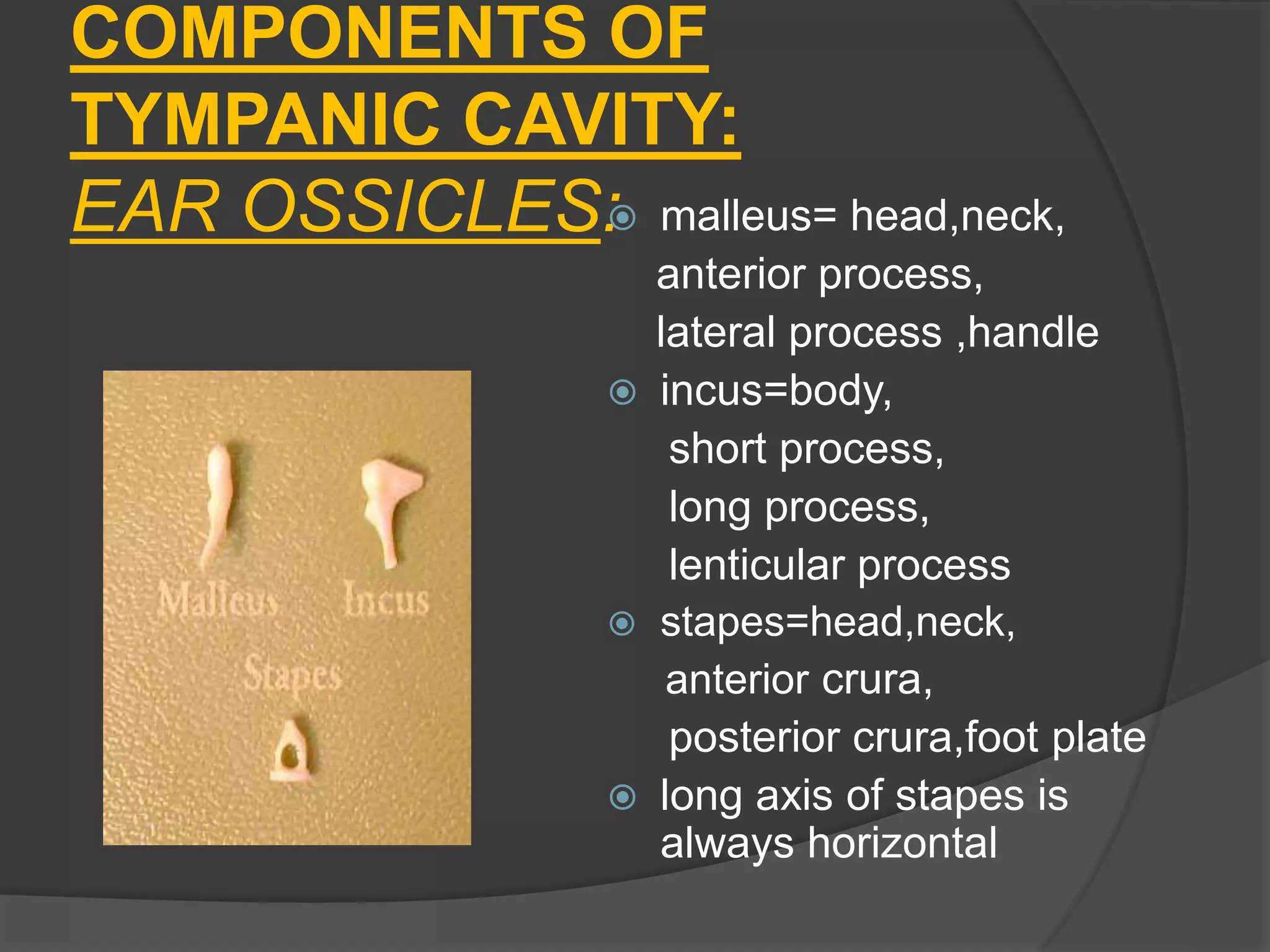 anatomy and physiology of middle ear spaces | PPTX