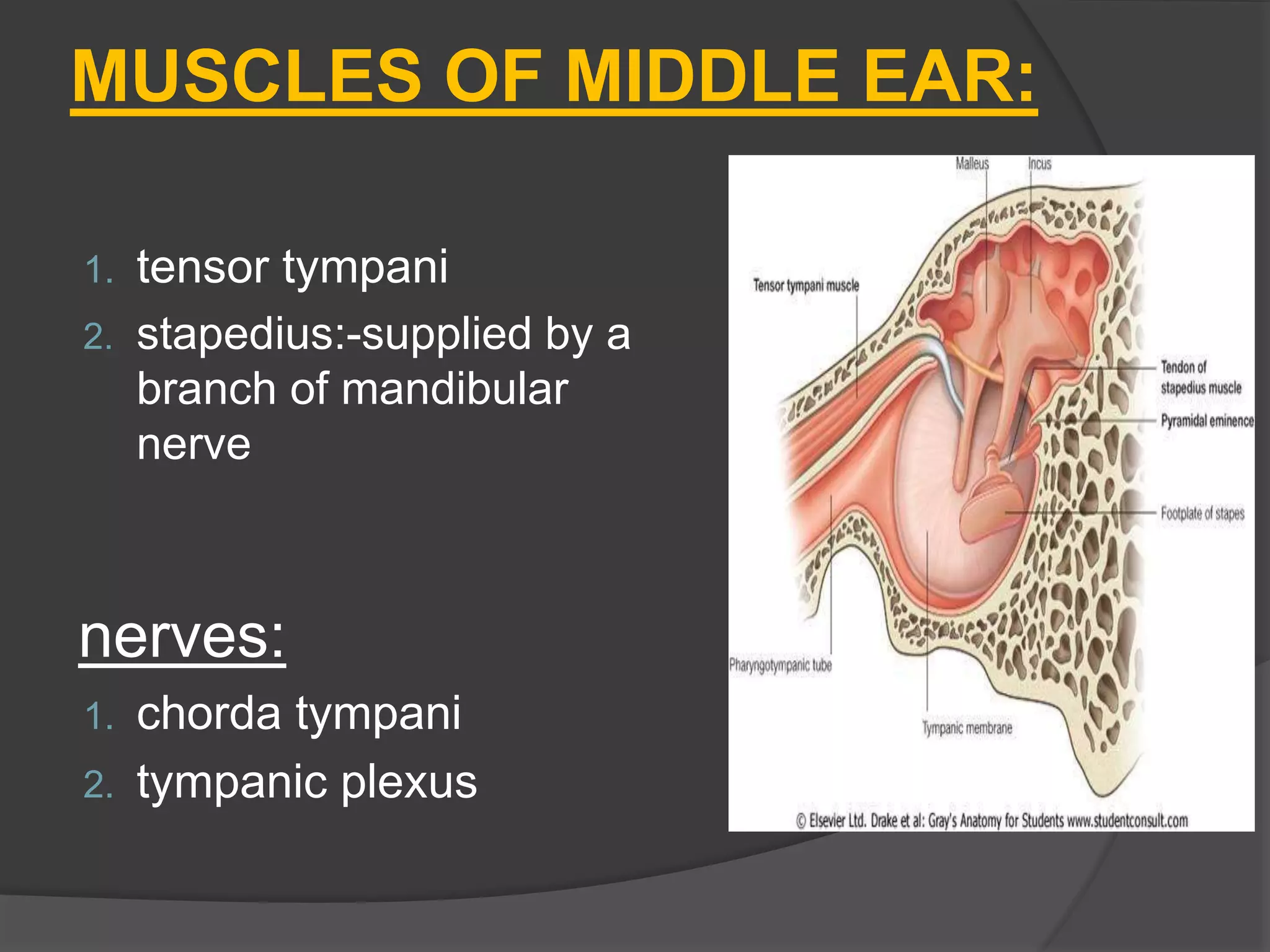 anatomy and physiology of middle ear spaces | PPTX