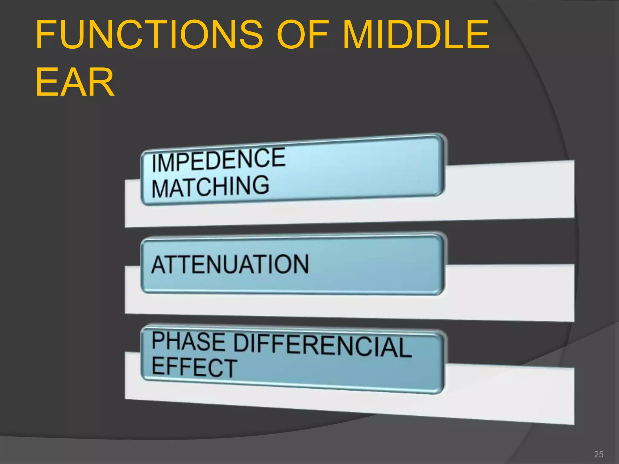 anatomy and physiology of middle ear spaces | PPTX