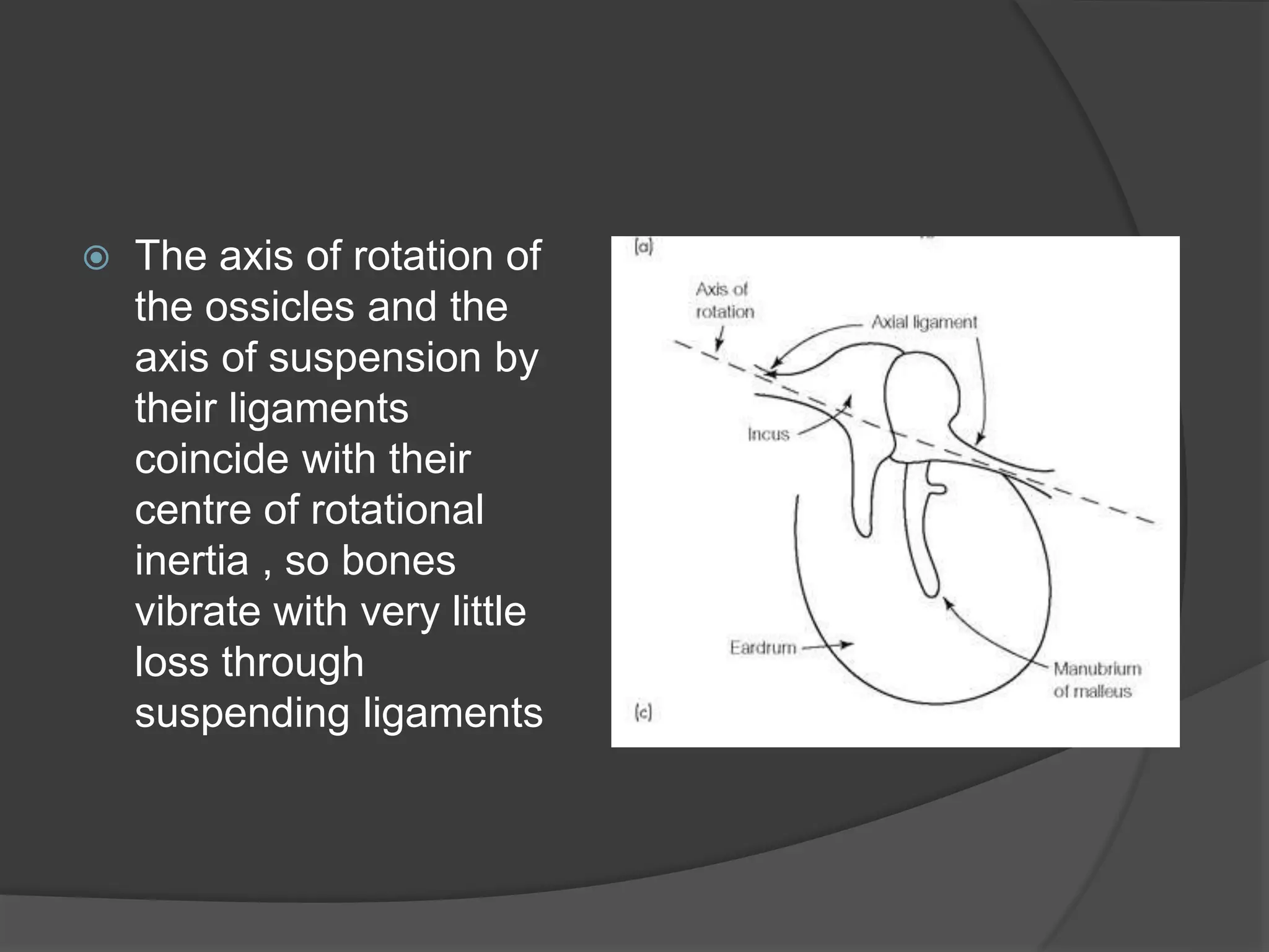 anatomy and physiology of middle ear spaces | PPTX