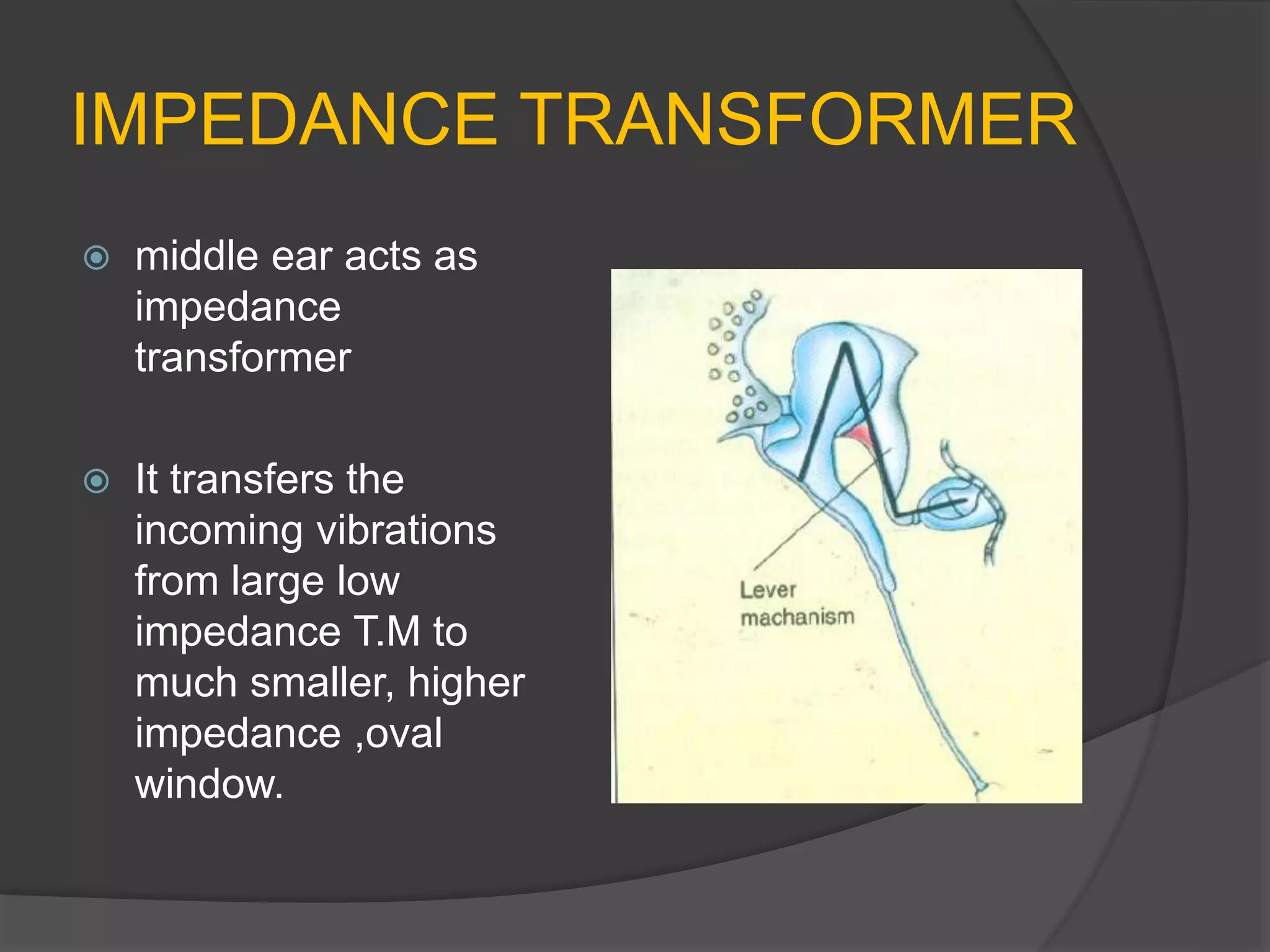 anatomy and physiology of middle ear spaces | PPTX