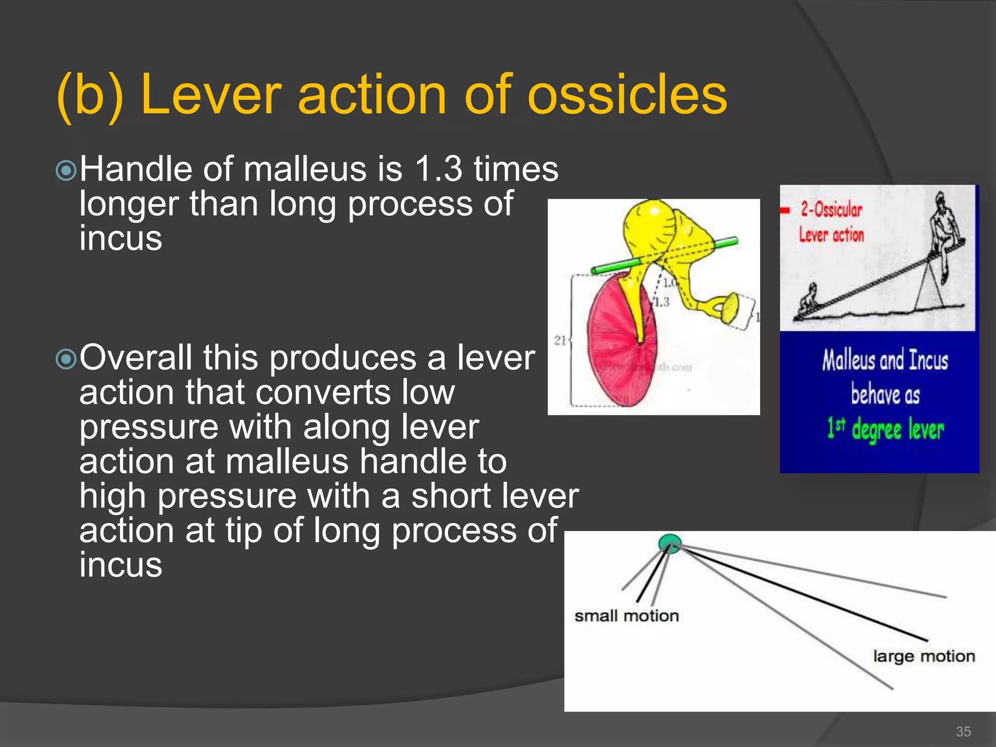 anatomy and physiology of middle ear spaces | PPTX