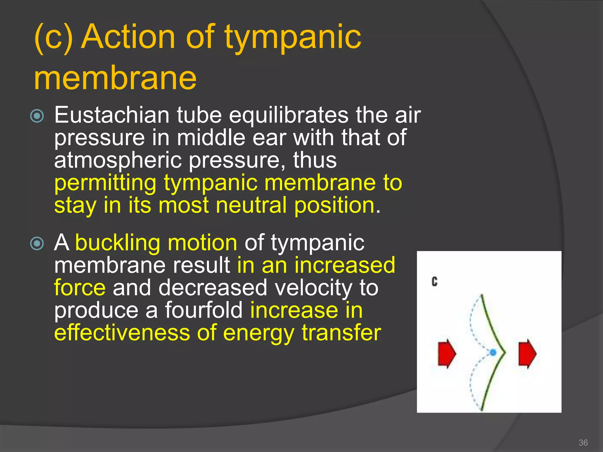 anatomy and physiology of middle ear spaces | PPTX