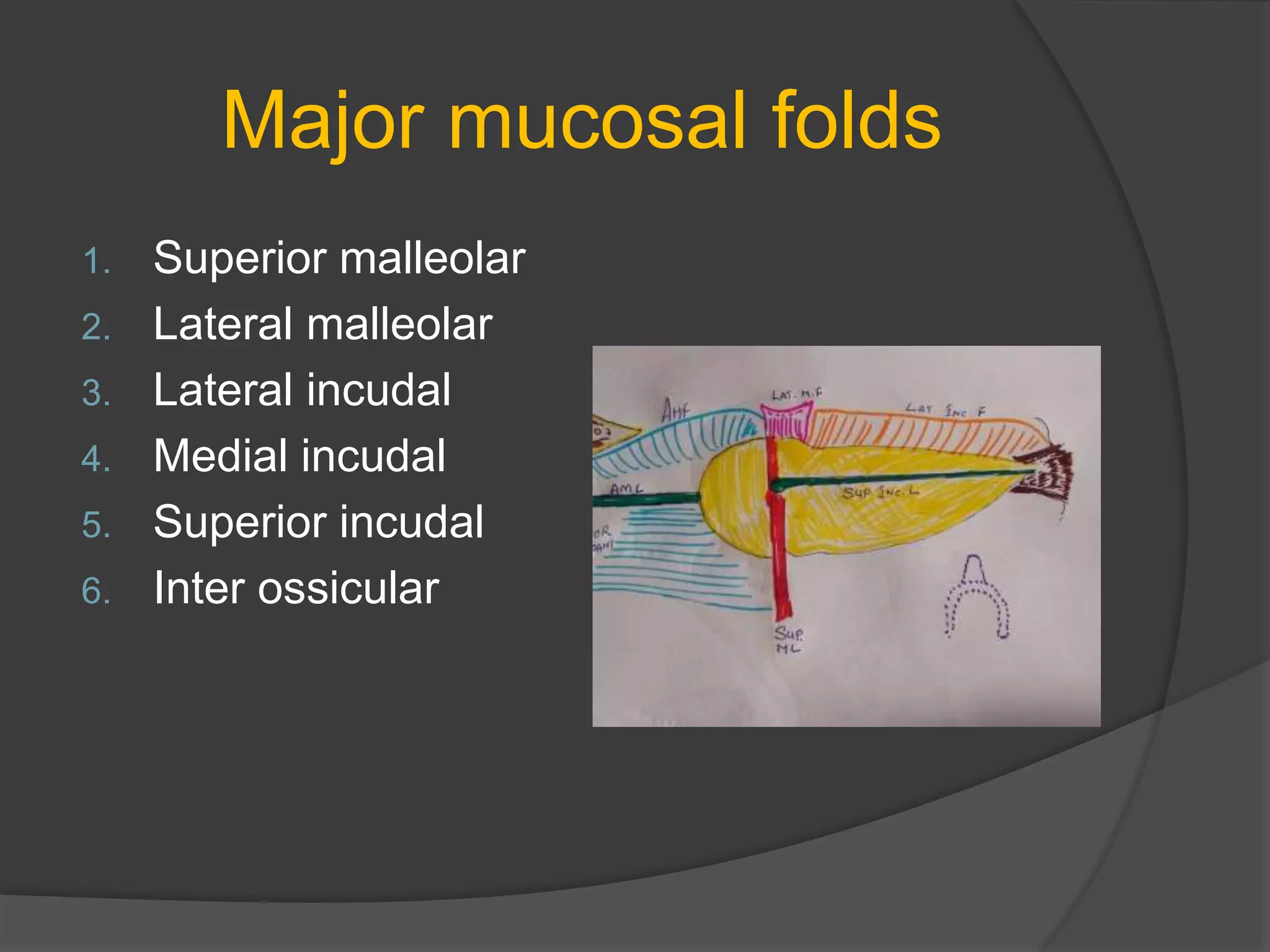 anatomy and physiology of middle ear spaces | PPTX