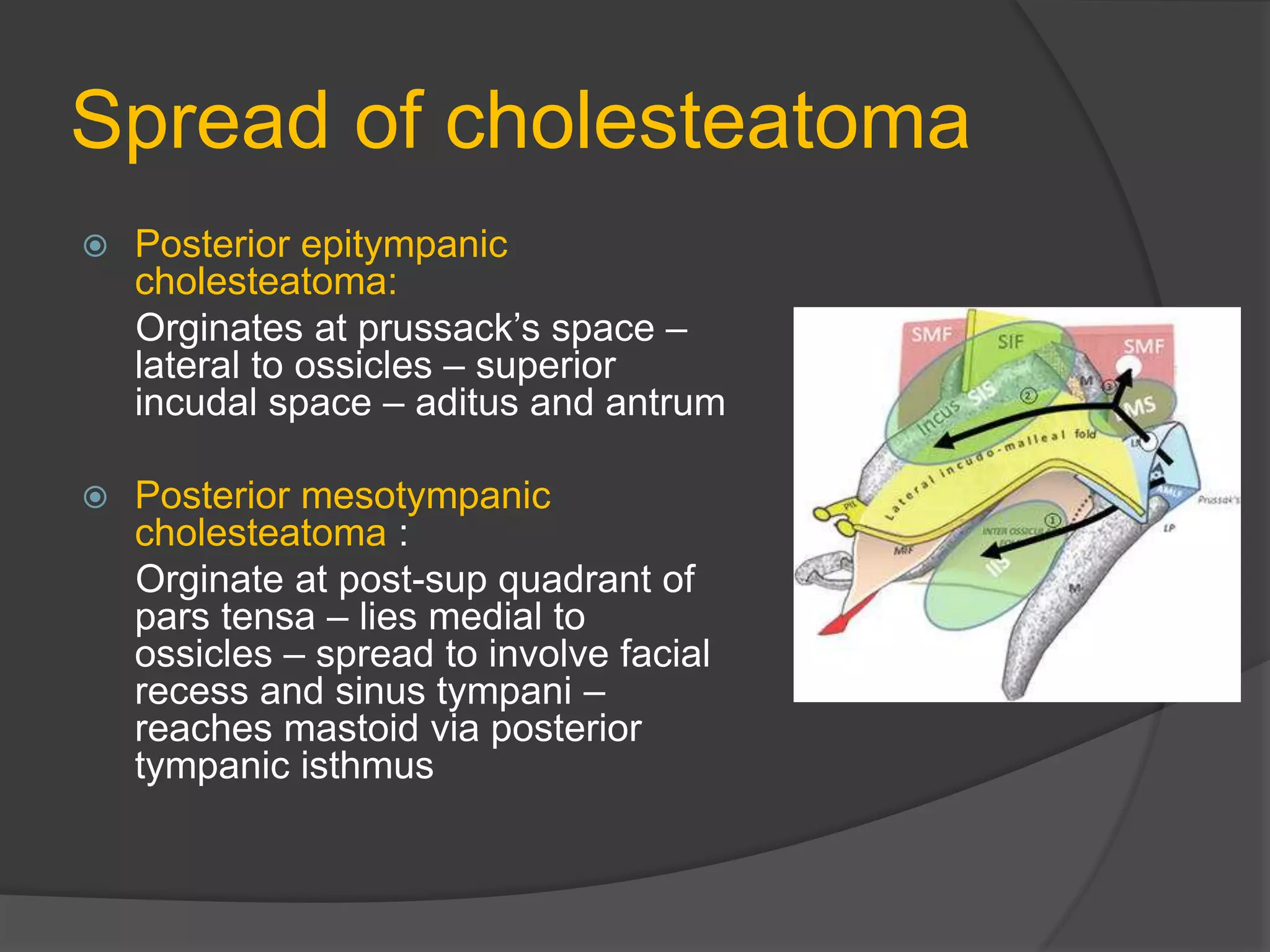 anatomy and physiology of middle ear spaces | PPTX