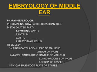 anatomy and physiology of middle ear spaces | PPTX