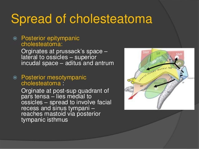 anatomy and physiology of middle ear spaces