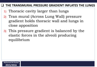 Mechanism of-respiration | PPTX