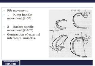 Mechanism of-respiration | PPTX