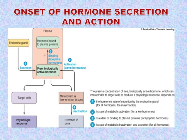 Mechanism Of Hormone Action _ Classification of Hormones, Mechanism of ...