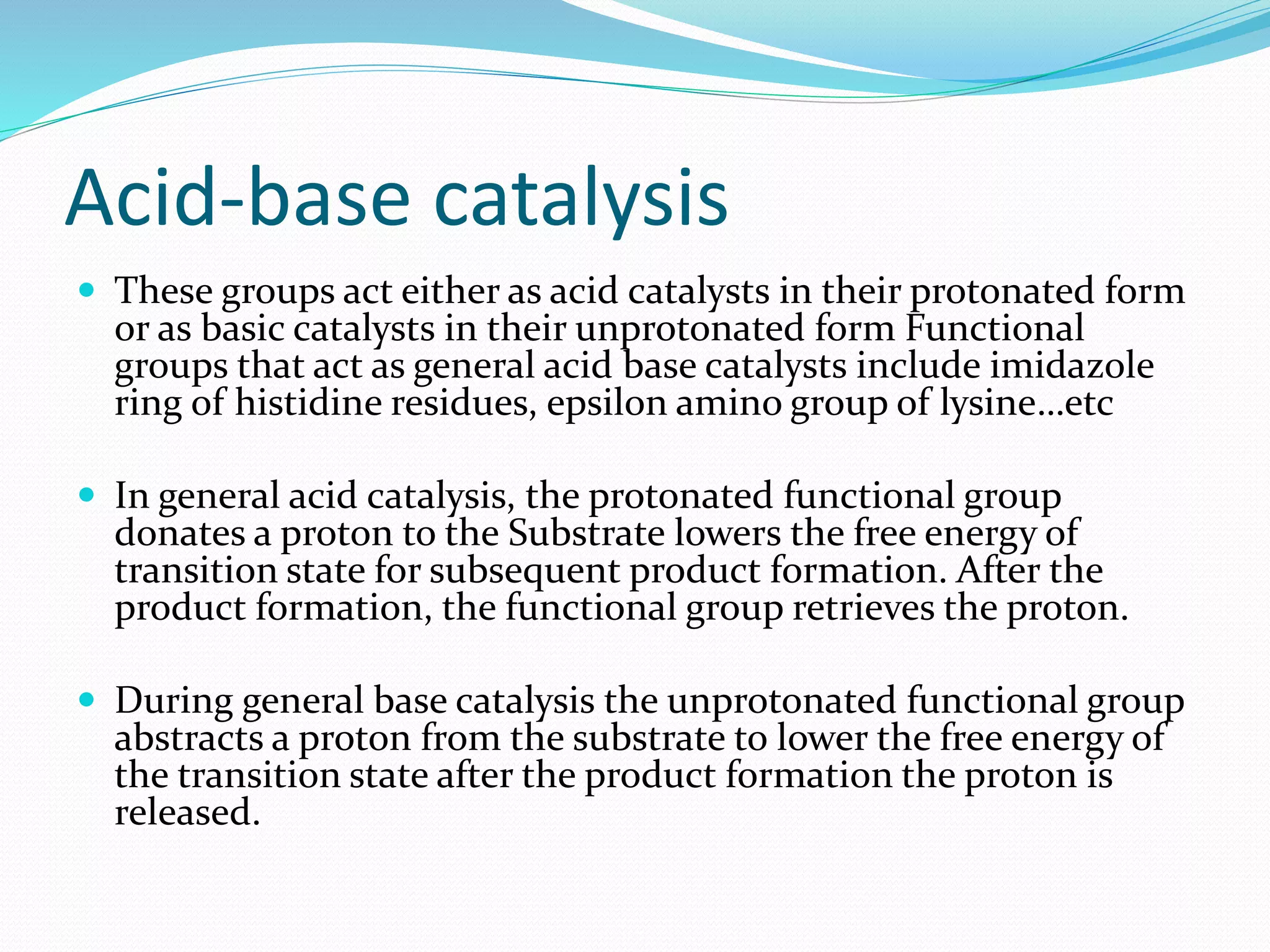 Mechanisms action of enzymes | POTX