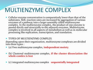 Mechanisms action of enzymes | PPT