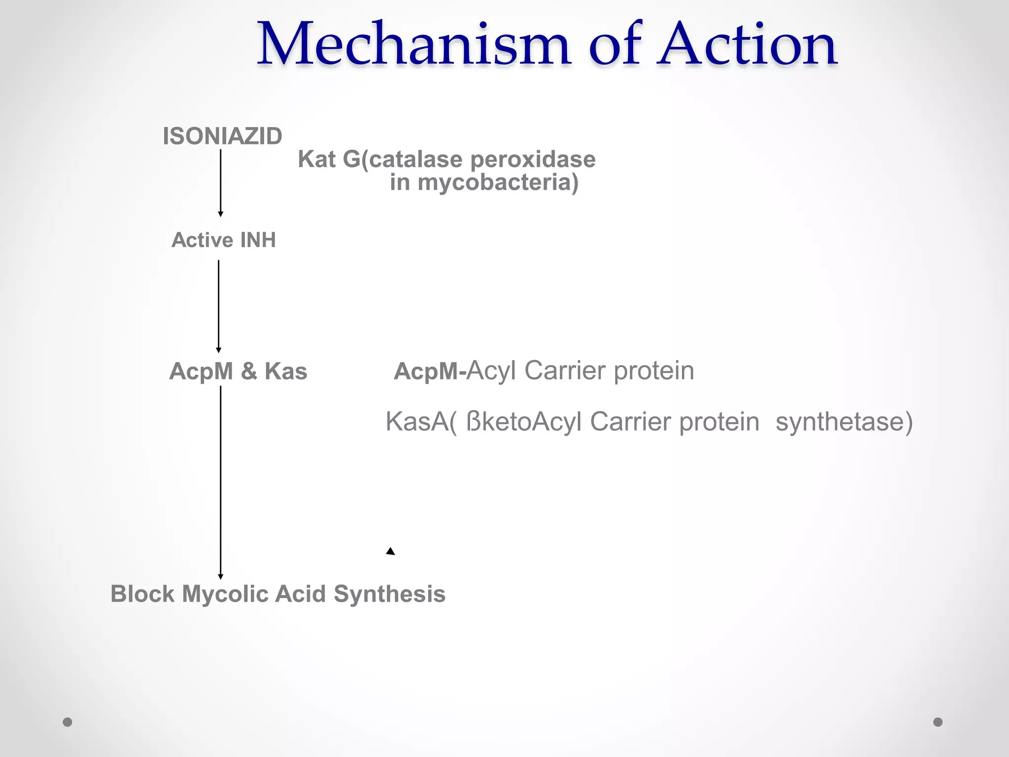Anti Tubercular Drugs - Mechanism of Action and Adverse effects | PPTX