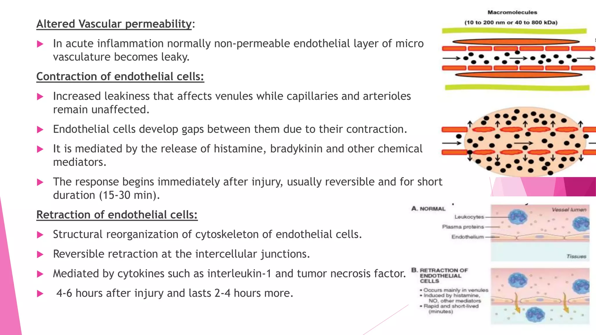 Mechanism involved in the process of inflammation lecture 5 | PPTX