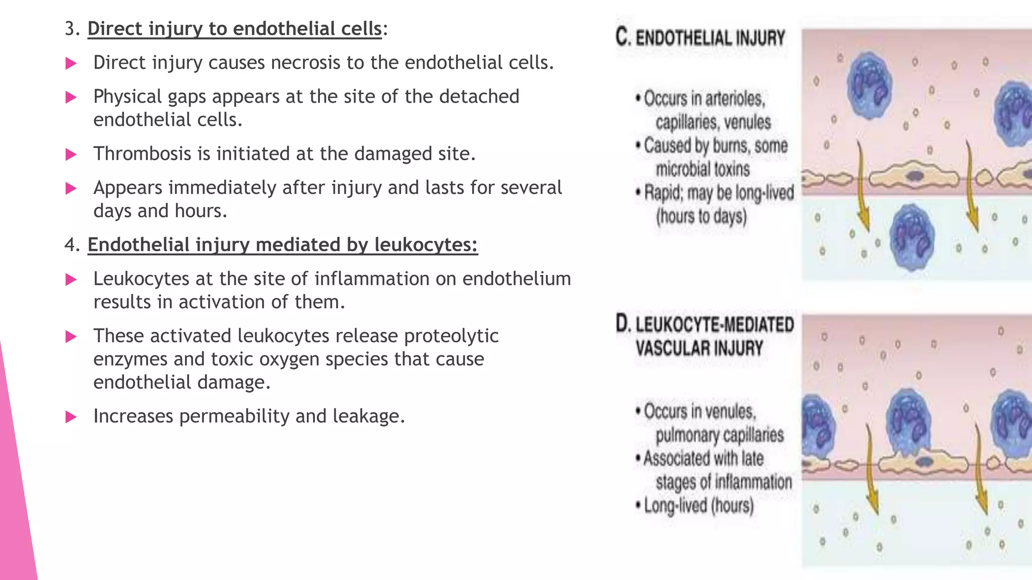 Mechanism involved in the process of inflammation lecture 5 | PPTX