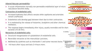 Mechanism involved in the process of inflammation lecture 5 | PPTX ...