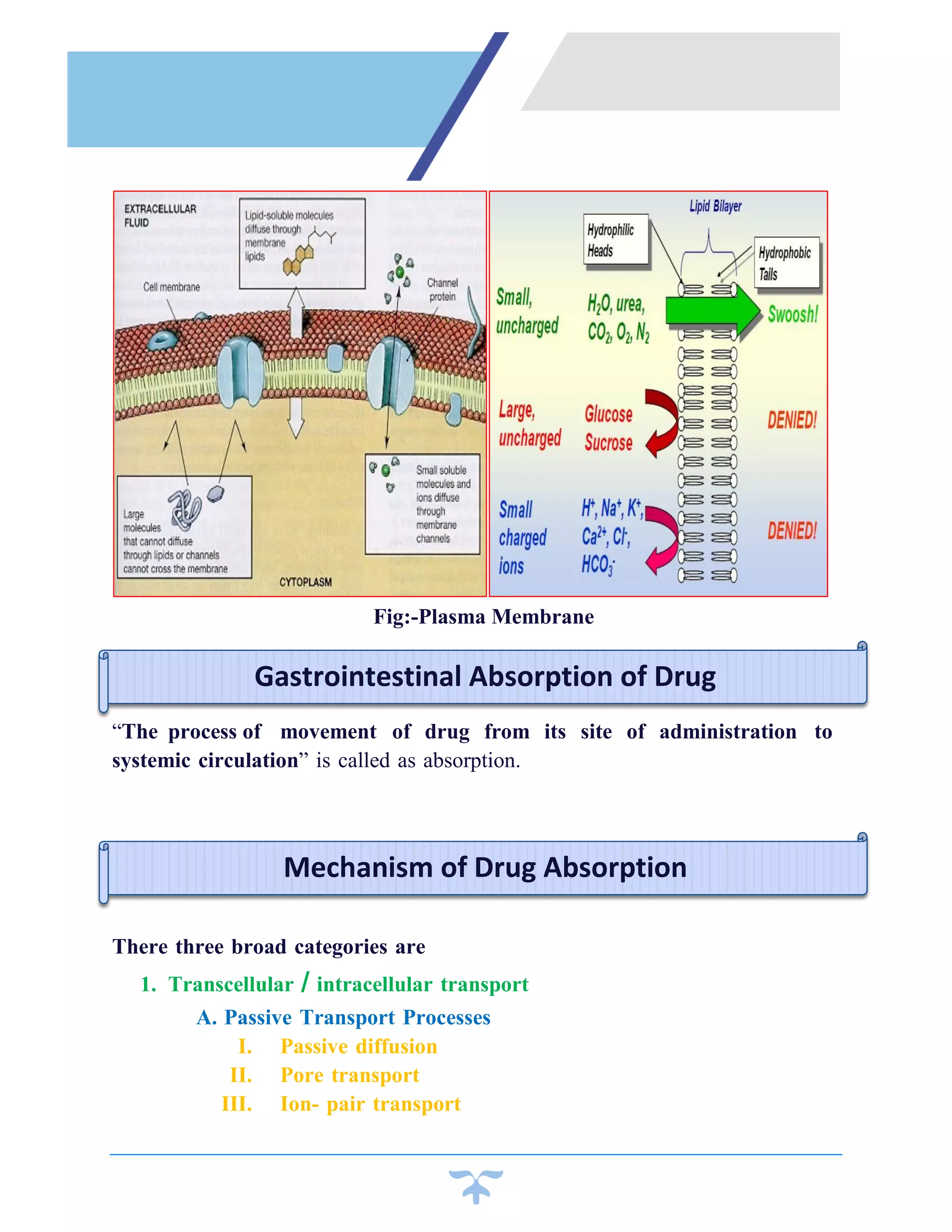 Mechanism of absorption(biopharma) | PDF