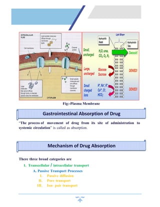 Mechanism of absorption(biopharma) | PDF