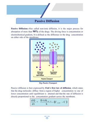 Mechanism of absorption(biopharma) | PDF