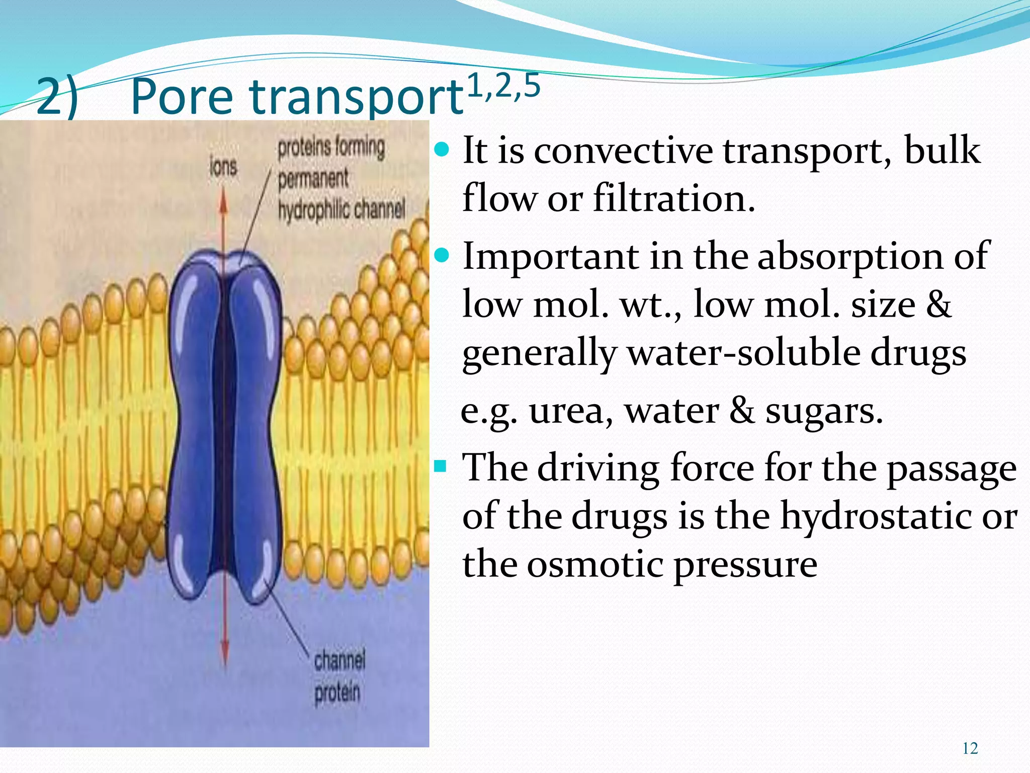 Mechanisms of absorption of drugs | PPTX