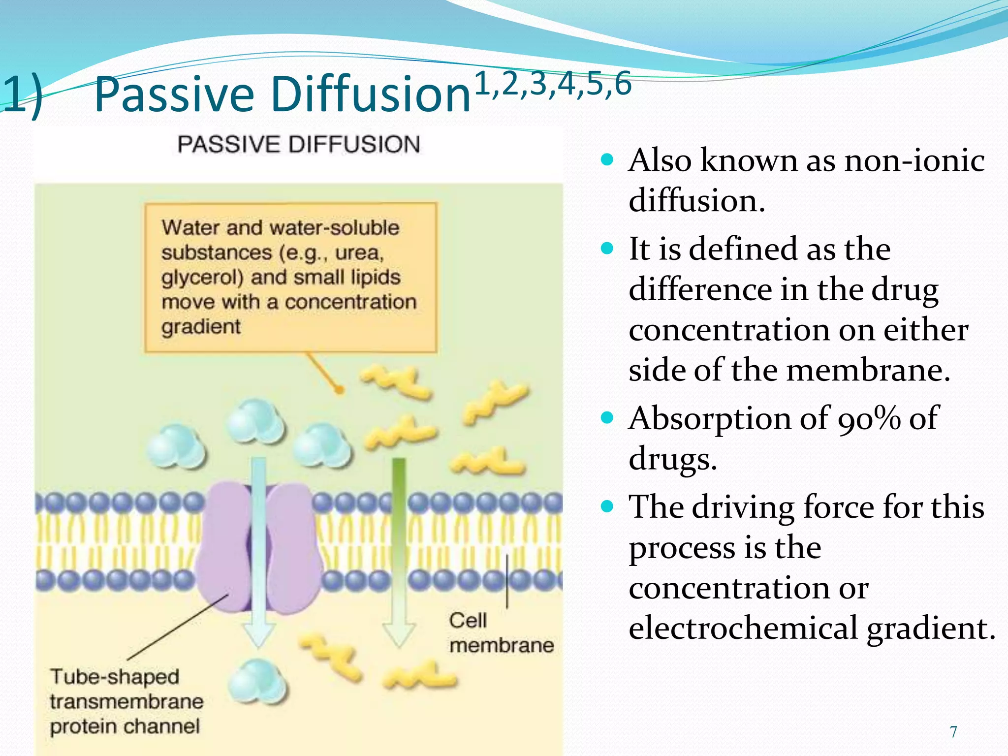 Mechanisms of absorption of drugs | PPTX
