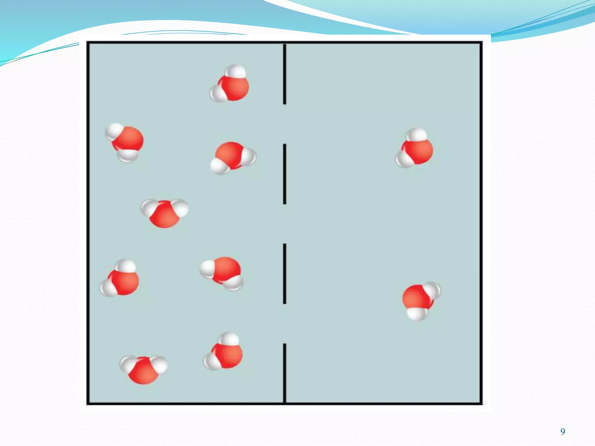 Mechanisms of absorption of drugs | PPTX