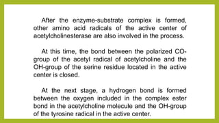 mechanism of action.pptx5de5e7d5r7ddr575rd75r7d5dr75 | PPTX