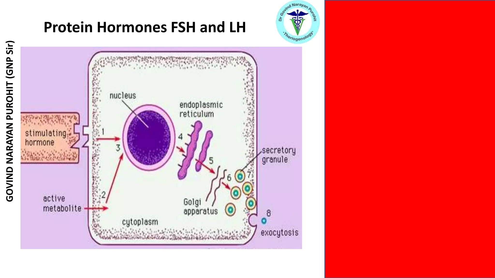 Mechanism of action and clinical use of hormones | PPT